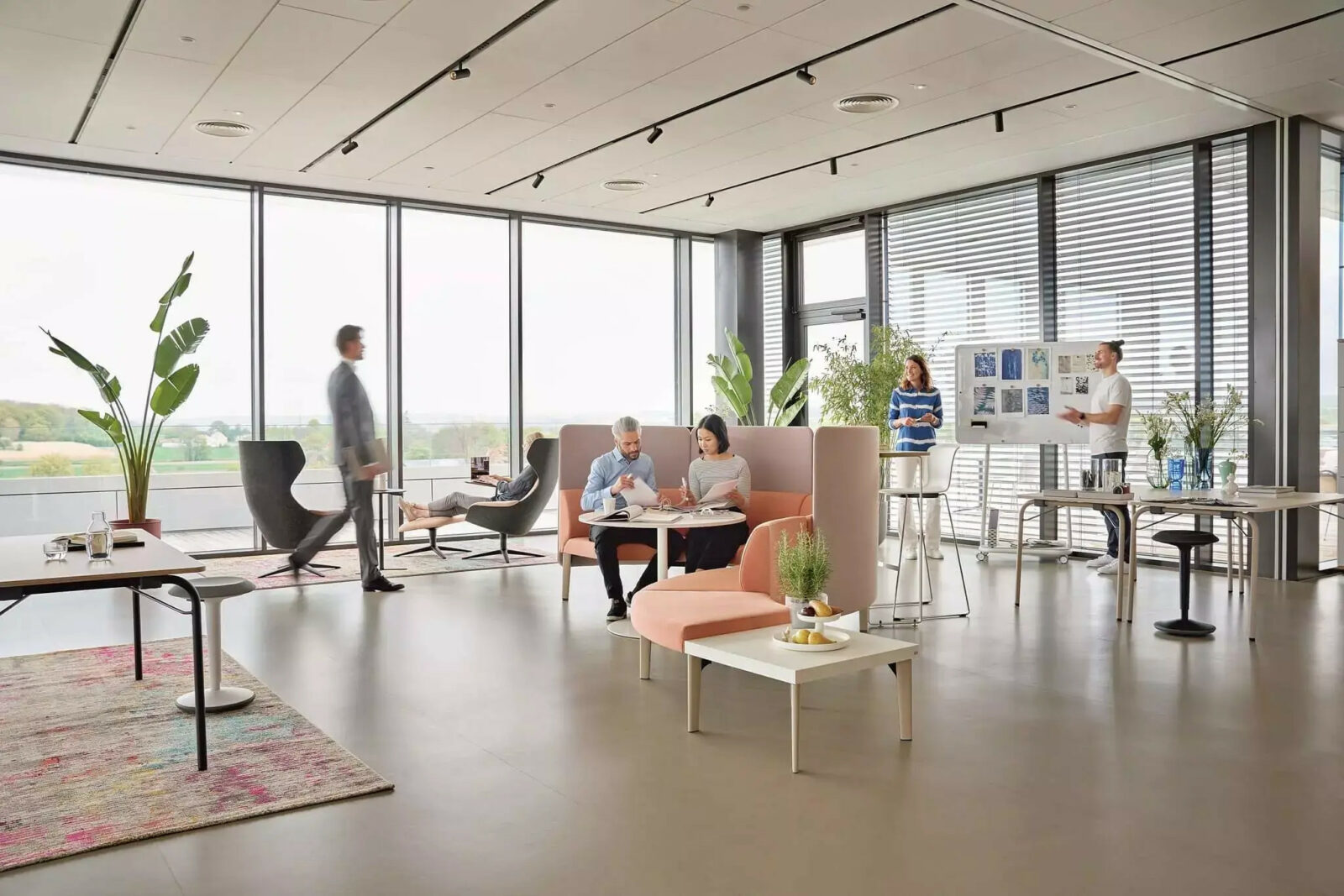 Home - Stelaa Didactic